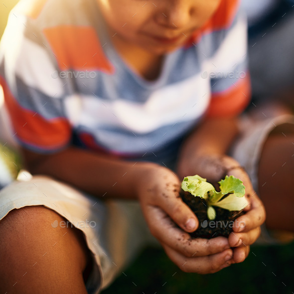 Teach kids to build respect for the environment Stock Photo by ...