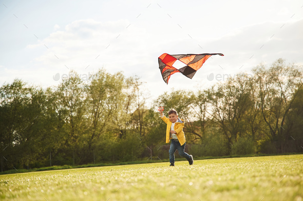 Trees, beautiful nature. Little boy is playing with a kite on the field ...
