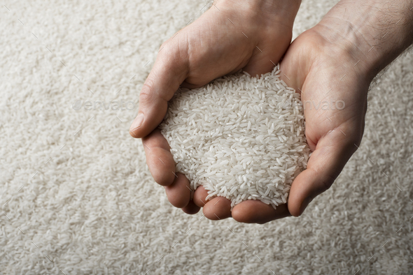 Human hands holding handful of rice plain rice background Stock Photo ...