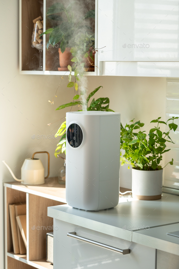 Modern humidifier at home, moistens dry air surrounded by indoor plant ...