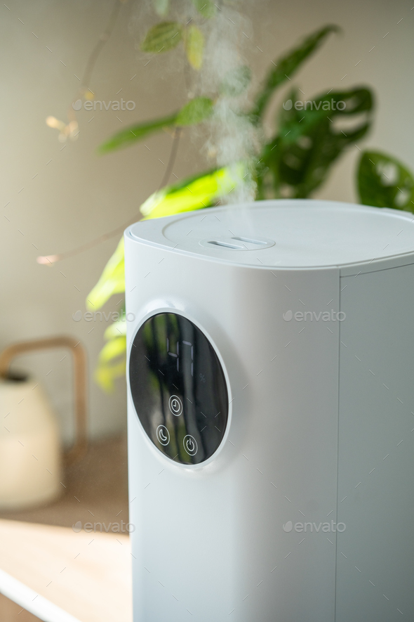 Modern humidifier at home, moistens dry air surrounded by indoor plant ...