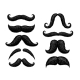 Hand Drawn Mustache by WinWin_artlab | GraphicRiver