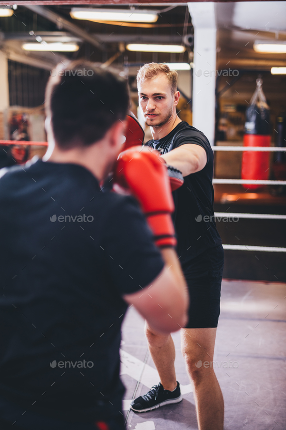 Boxers do boxing training on a gym Stock Photo by photocreo | PhotoDune