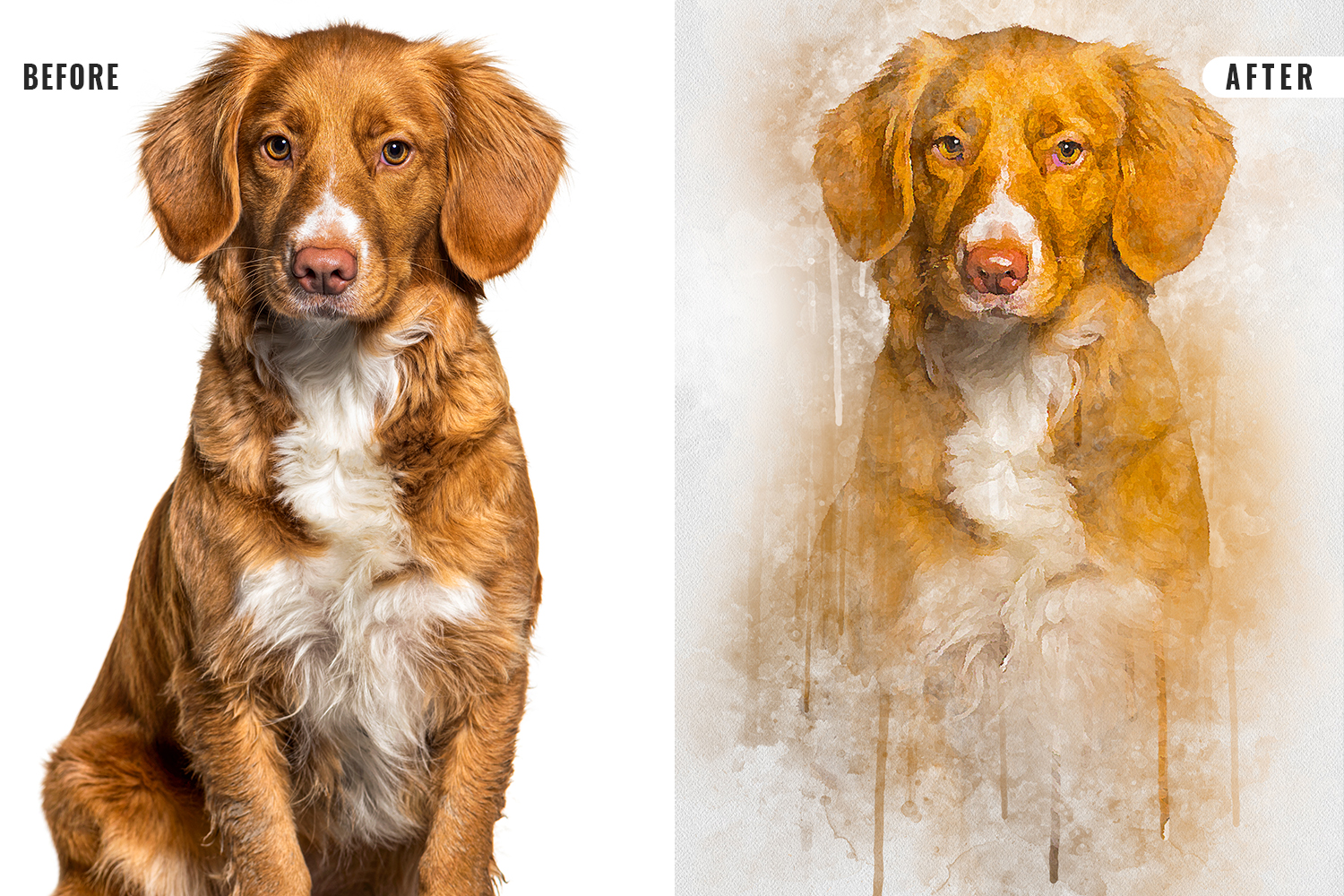 Water Color Photo Effect, Add-ons | GraphicRiver