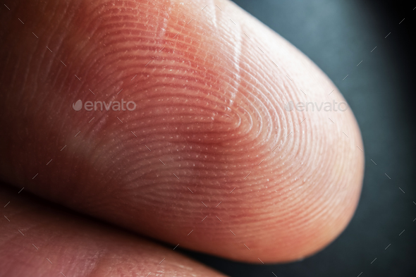 Fingerprint texture of finger skin Stock Photo by ivankmit | PhotoDune