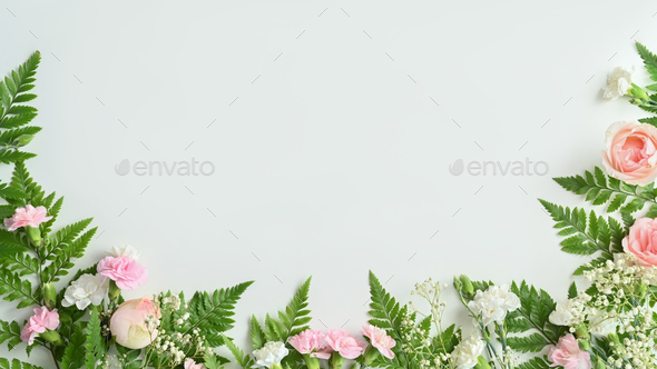 Pink roses, carnation and fern leaves on white background. Spring ...