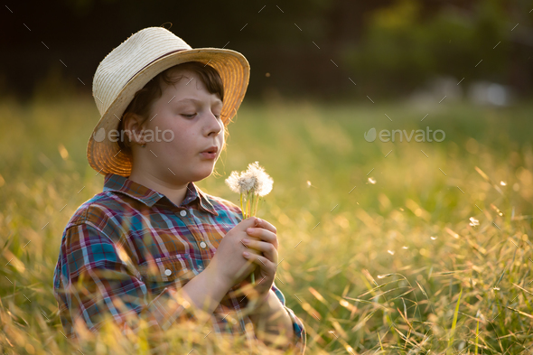 Cute little girl having fun in a dandelion field Stock Photo by erika8213