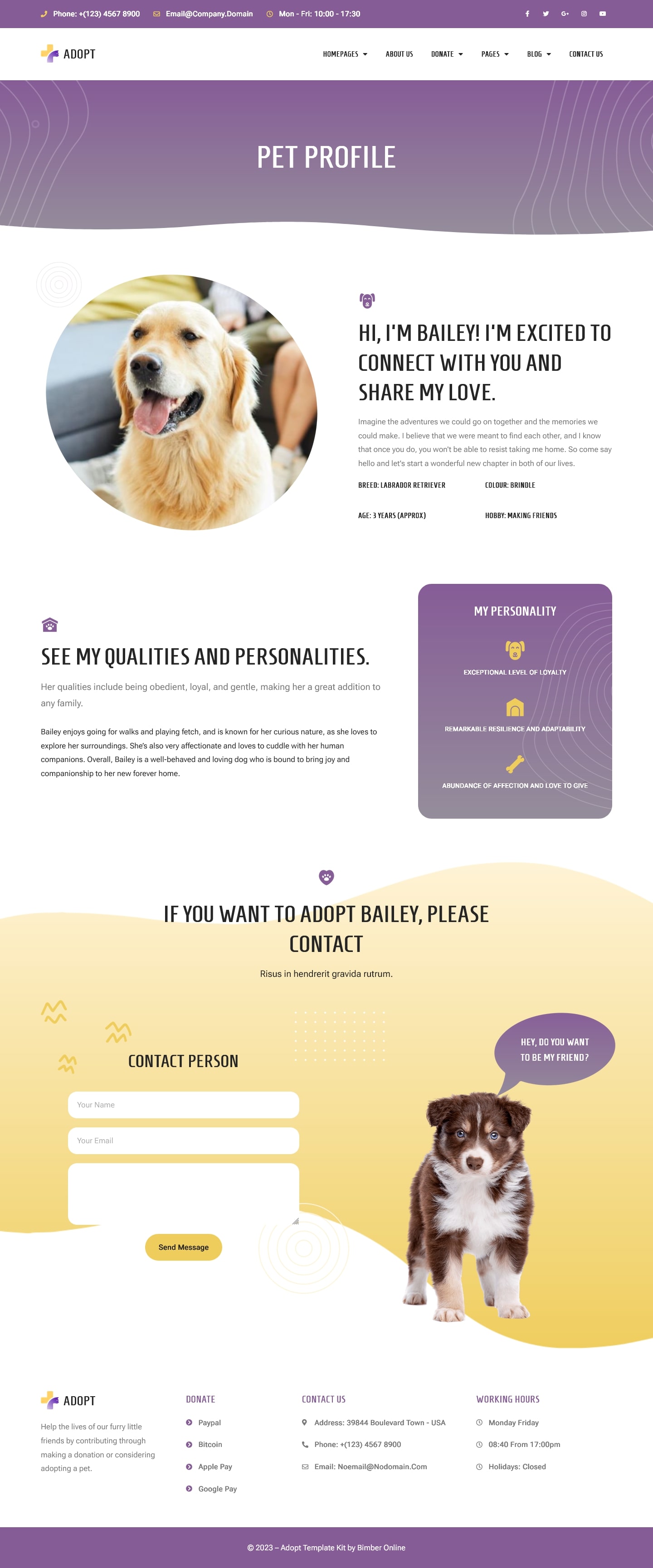 Adopt - Adoption Service & Charity Elementor Template Kit by BimberOnline