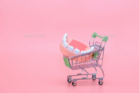 Model of the human jaw in the shopping cart, we buy teeth. Implantation ...