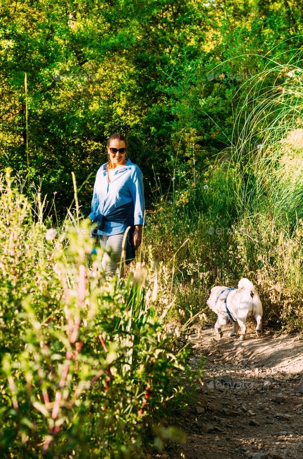 Female walking with a dog in a park with a lot of beautiful trees Stock ...