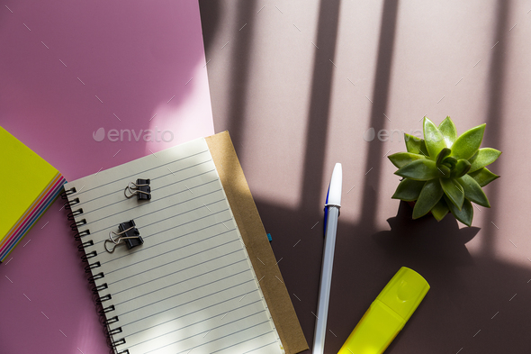 Top view shot of a notebook, highlighter, pen, and a plant on a pink ...