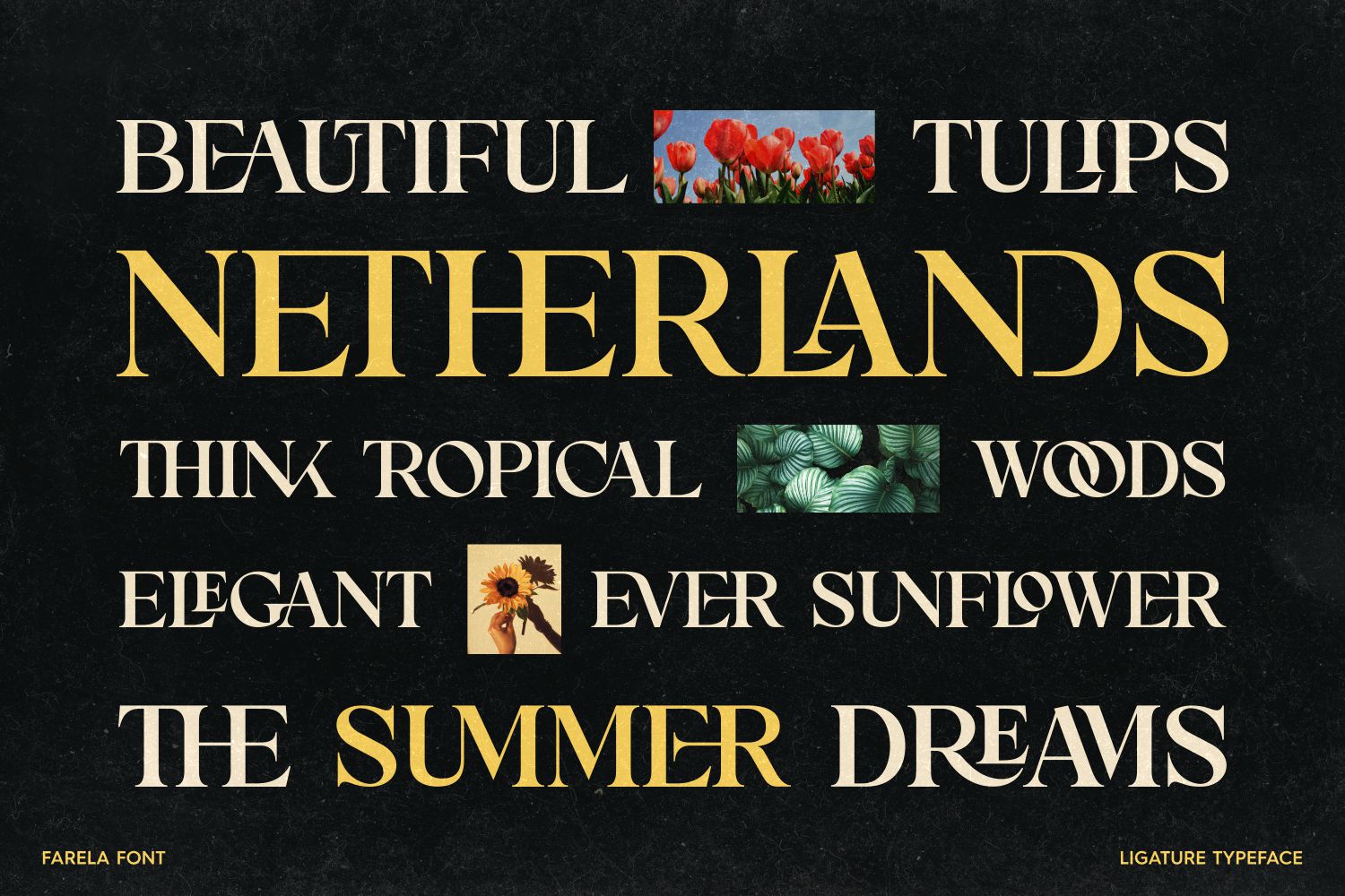 FARELA LIGATURE FONT, Fonts | GraphicRiver