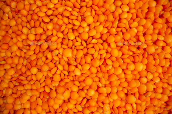 High resolution photo of red lentils close up shot layer in horizontal ...