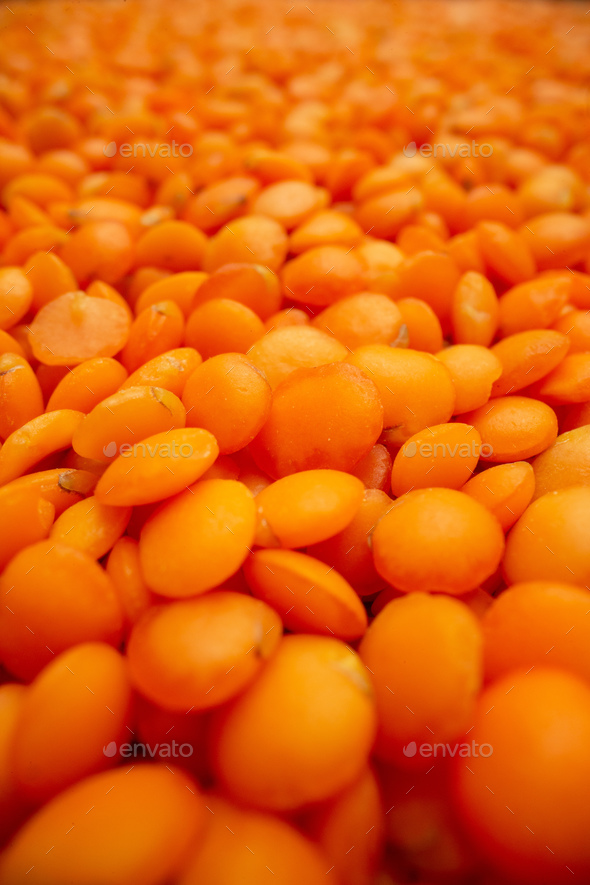 High resolution photo of red lentils close up shot layer in vertical ...