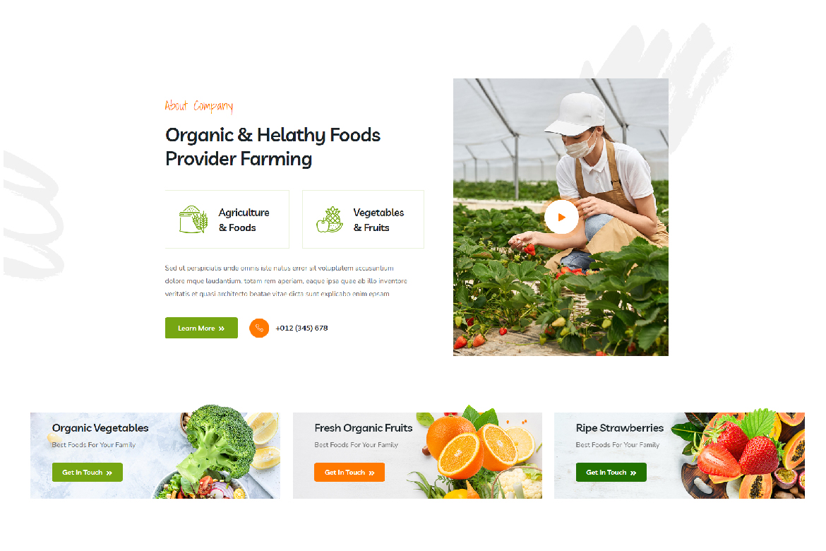 Munfirm - Organic & Healthy Food Elementor Template Kit by surisoft