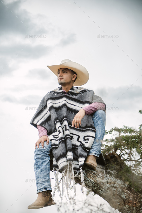 Cowboy wearing a poncho sitting under a tree in the sky Stock Photo by ...