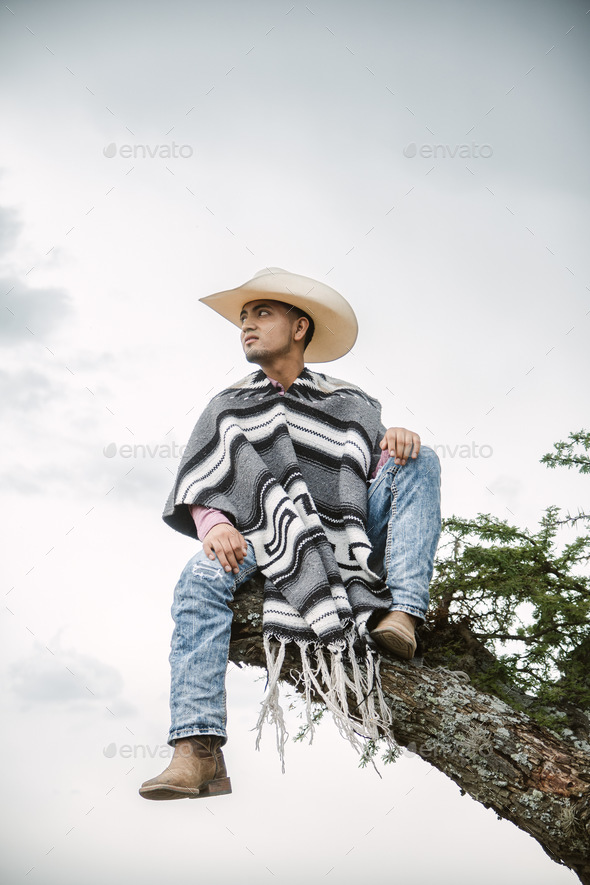 Cowboy wearing a poncho sitting under a tree in the sky Stock Photo by ...