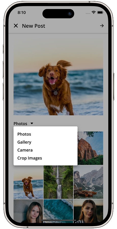 Instagram Clone App Template in Ionic | Social sharing App | Video ...