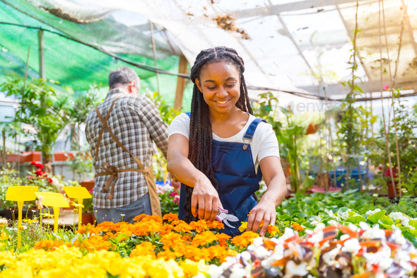Happy plant and flower nursery worker cutting the plants in the ...