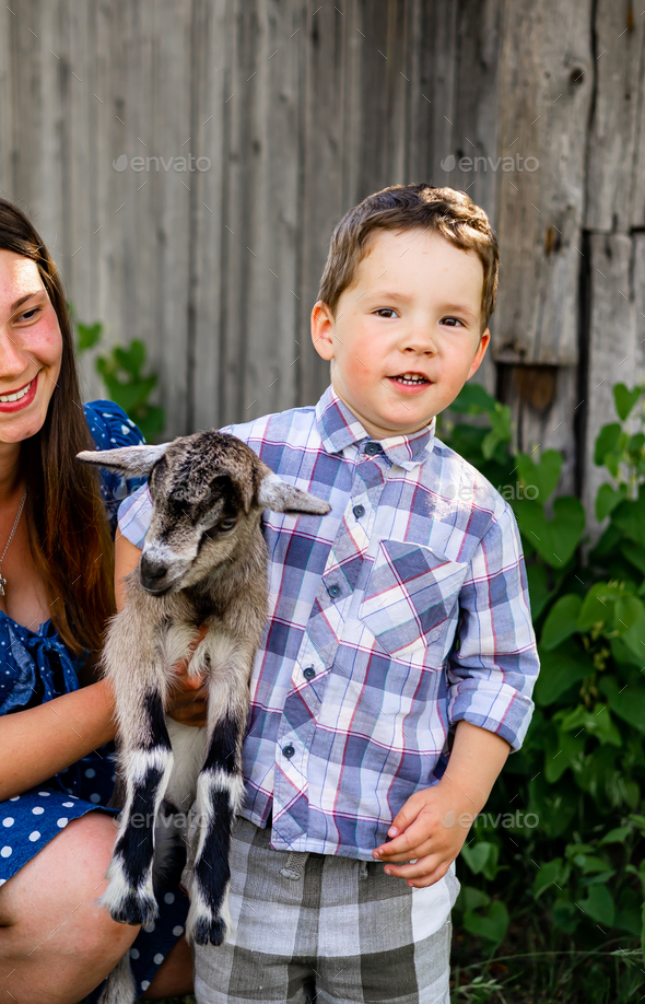 Little child boy with mom playing with baby goat in field near farmland ...