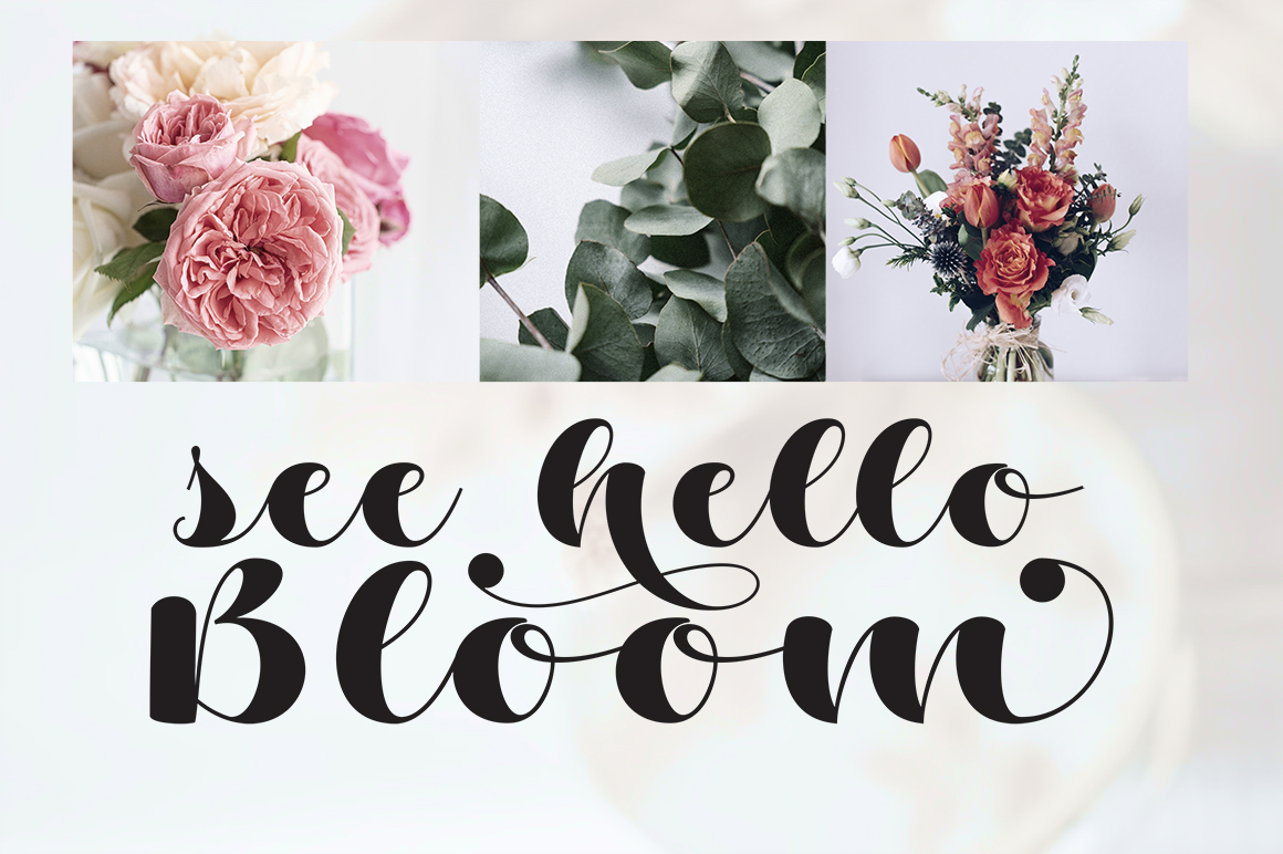 Pelisa by gatype | GraphicRiver