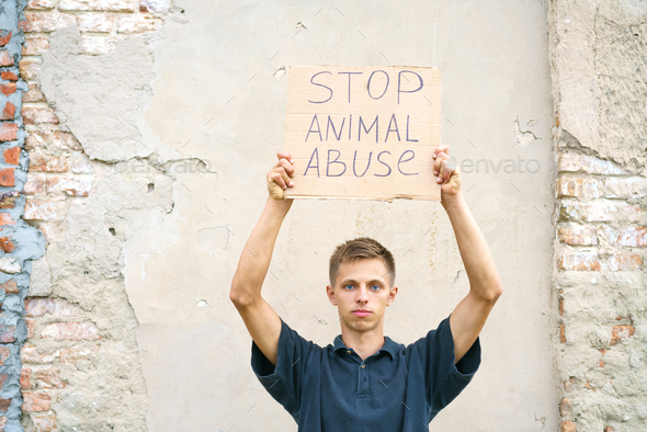 Stop animal abuse guy holding a cardboard box Stock Photo by ...