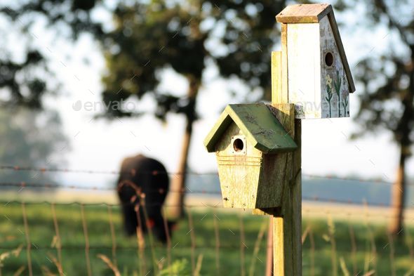 Rustic scene of two aged wooden birdhouses in a rural landscape Stock ...