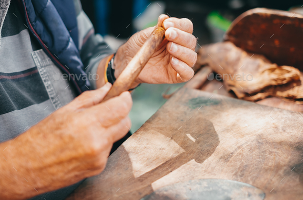 Close up of hands making cigars. Process of making traditional cigars ...