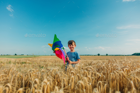 Little boy in blue shirt with pinwheel in yellow wheat field in summer ...