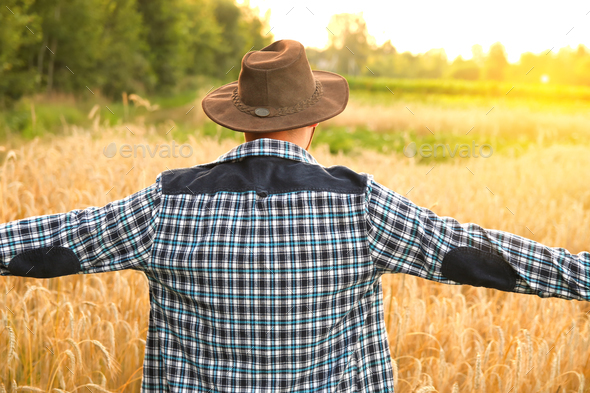 Back view of the cowboy. Back view of a young man wearing a cowboy hat ...