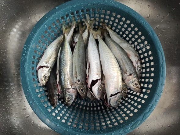 Cut and clean fresh fish Stock Photo by dorisjs | PhotoDune