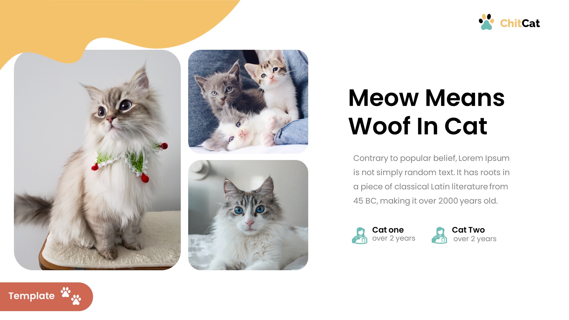 ChitCat - Cat Animal Keynote Template, Presentation Templates ...