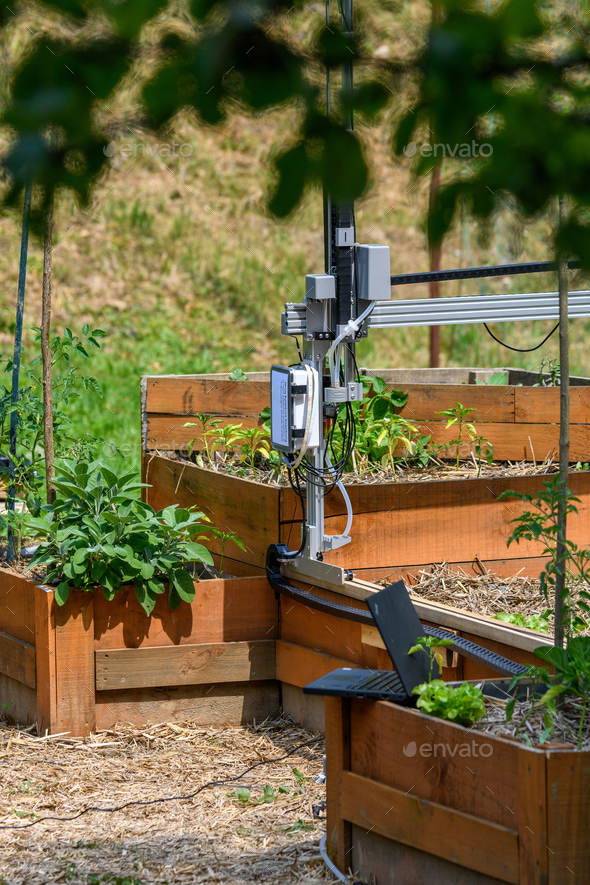Plant growing robot Farmbot connected to a laptop on a raised bed in ...
