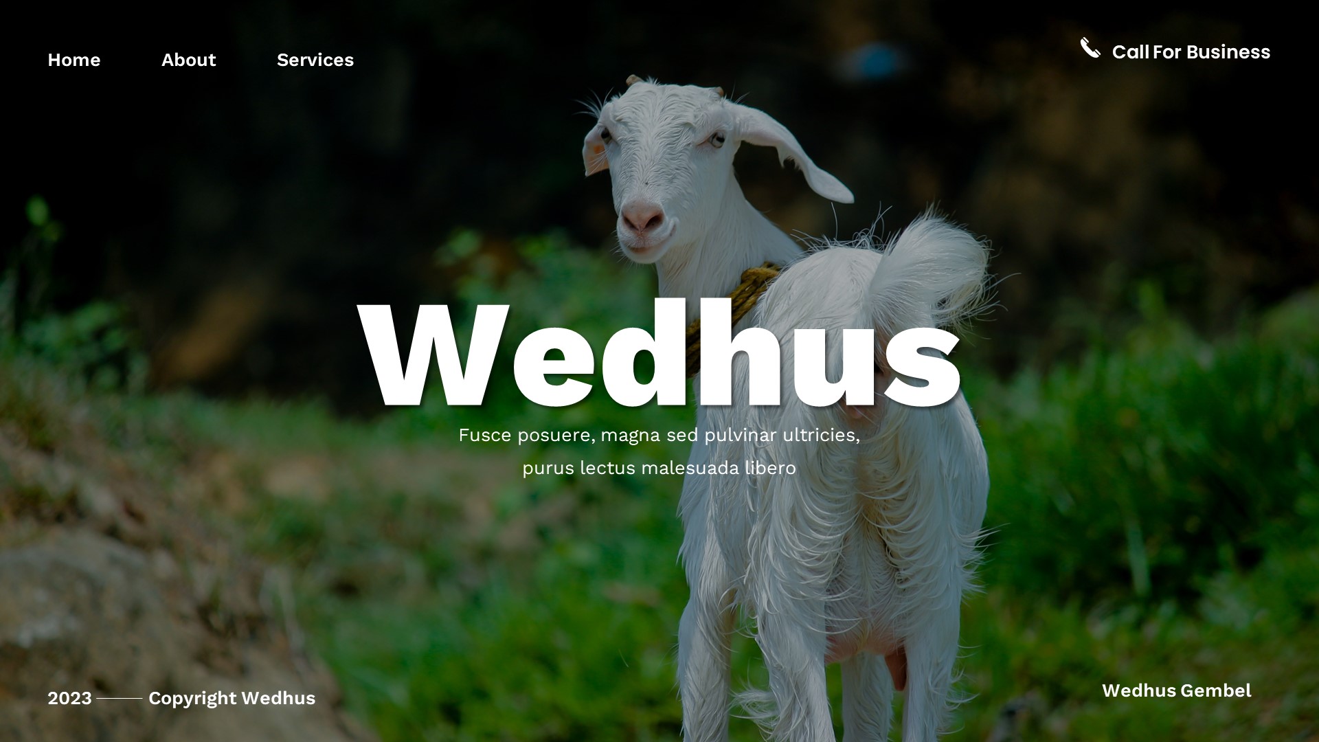 Wedhus - Goat Qurban Animal Powerpoint Template, Presentation Templates
