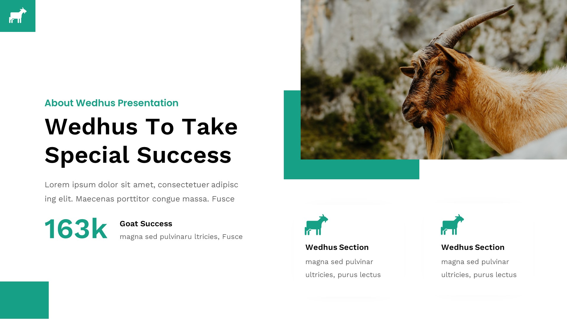 Wedhus - Goat Qurban Animal Powerpoint Template, Presentation Templates