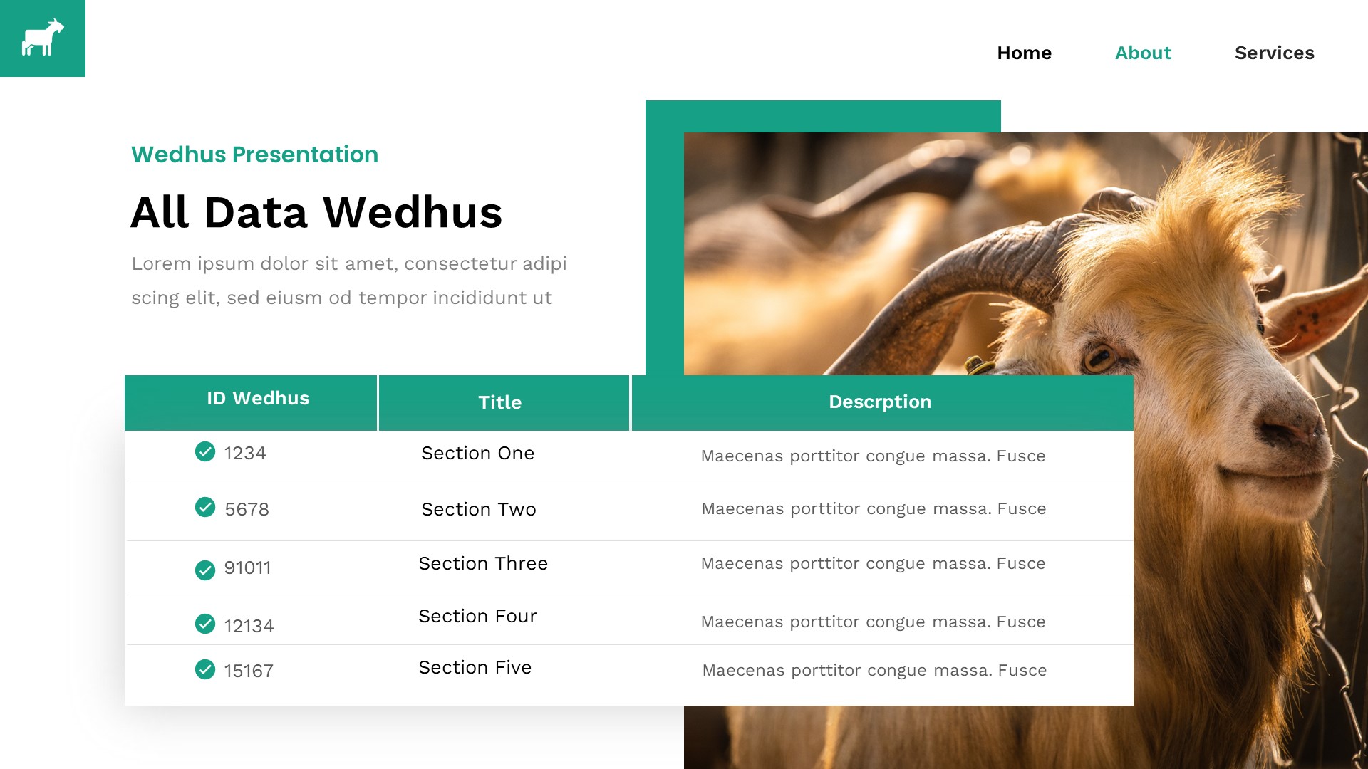 Wedhus - Goat Qurban Animal Powerpoint Template, Presentation Templates