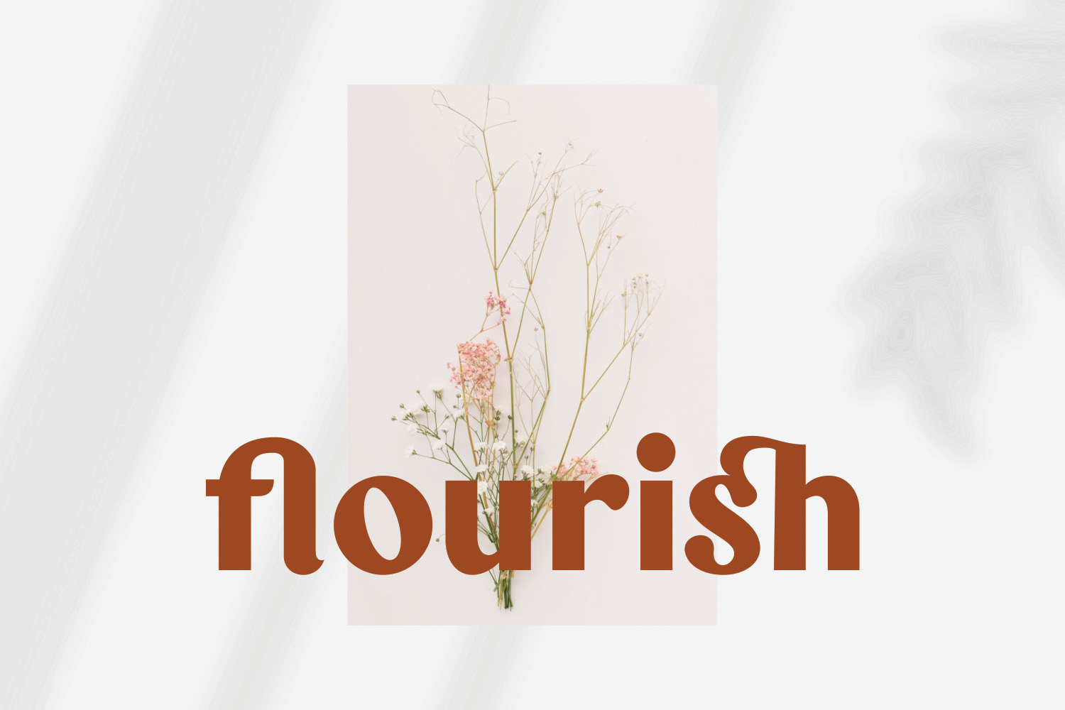 MARQUEZ, Fonts | GraphicRiver