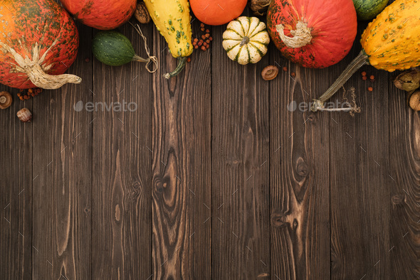 Autumn vintage background with squash harvest border Stock Photo by Kotenko