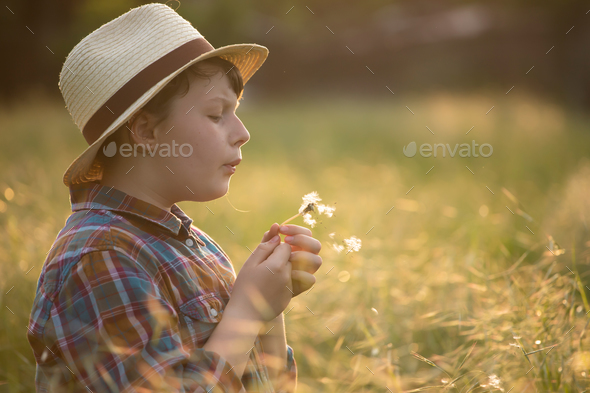 Cute little girl having fun in a dandelion field Stock Photo by erika8213