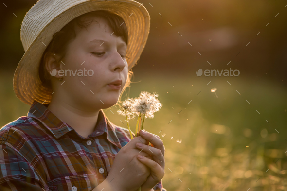 Cute little girl having fun in a dandelion field Stock Photo by erika8213