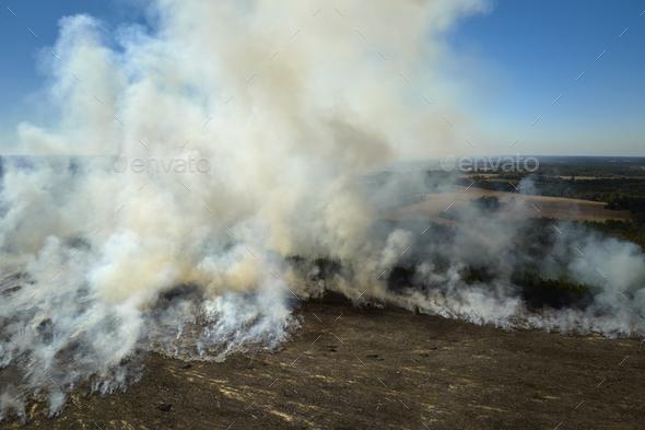 Aerial view of white smoke from forest fire rising up polluting ...