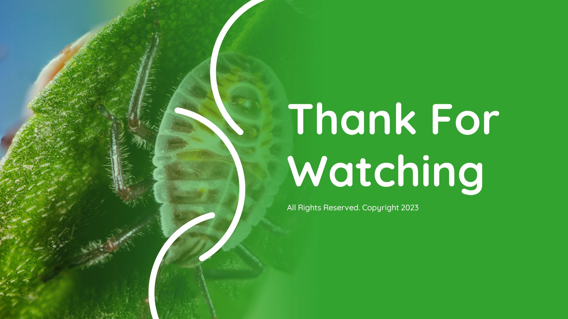 Biology Education PowerPoint Template, Presentation Templates ...