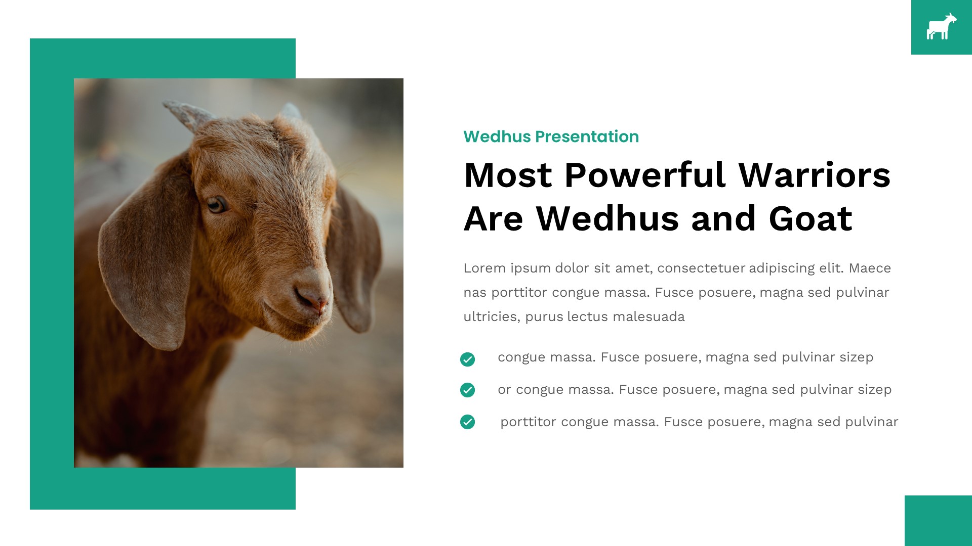 Wedhus - Goat Qurban Animal Google Slides Template, Presentation Templates