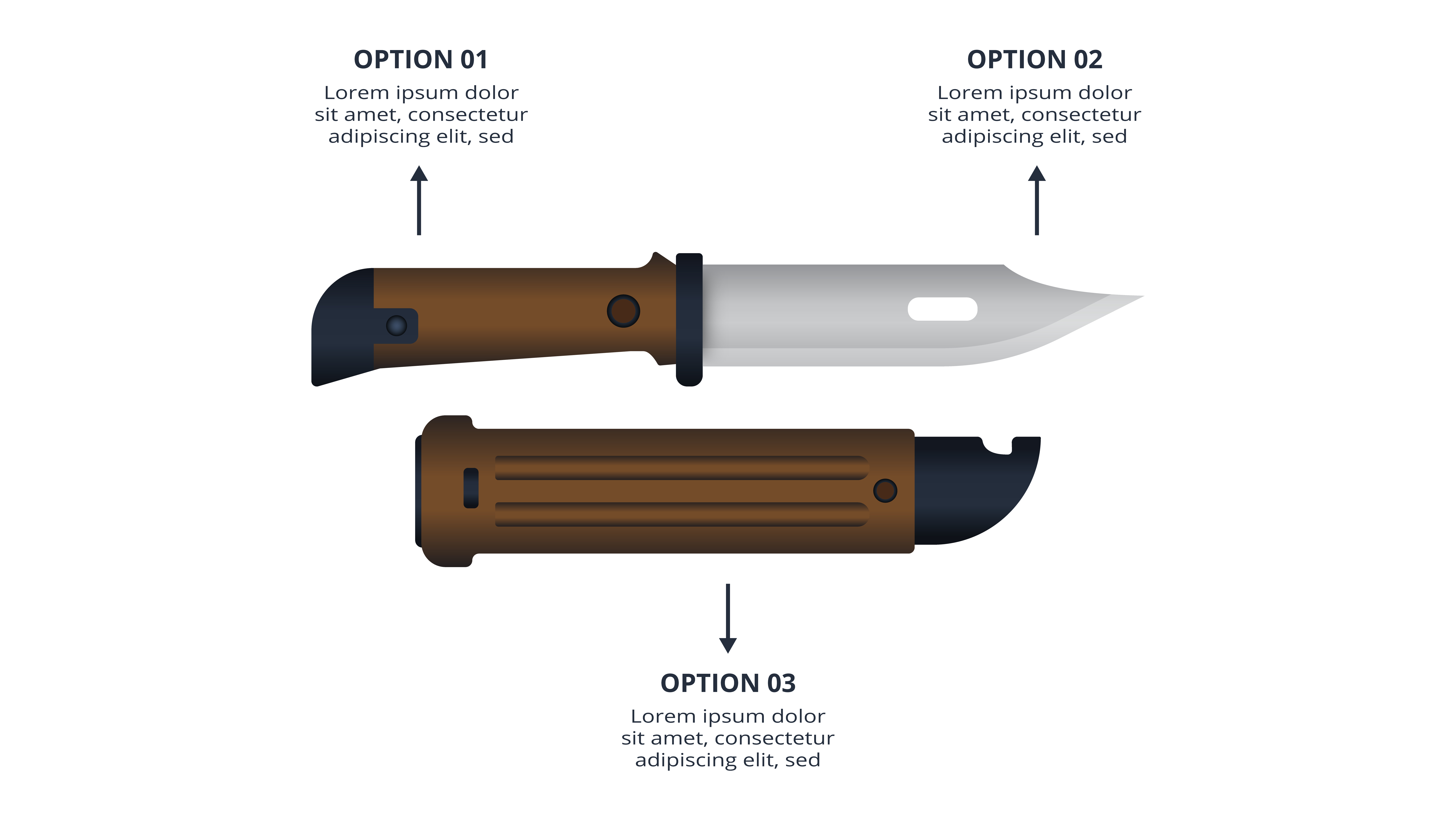 Army Animated Infographics, Presentation Templates | GraphicRiver