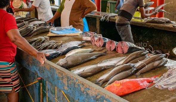Fish for sale in Victoria fish market, Seychelles: colorful variety of ...