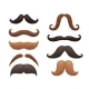 Different Old Fashioned Mustaches, Vectors | GraphicRiver