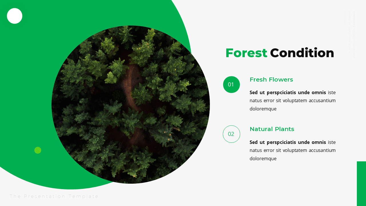 Nature Green Powerpoint Template, Presentation Templates | GraphicRiver