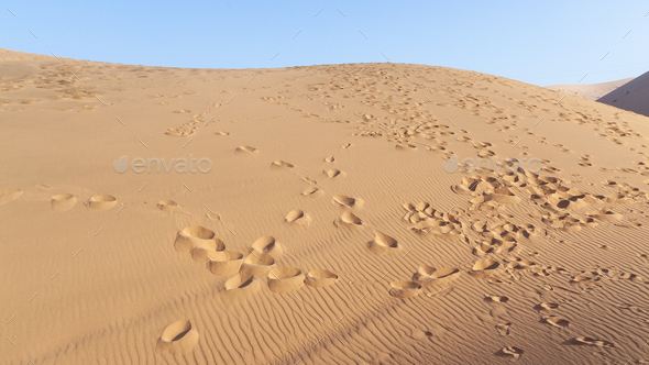 Footprints In The Desert Stock Photo by jaruka | PhotoDune