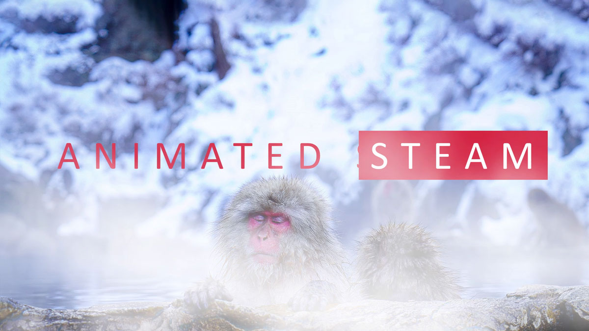 Animated PowerPoint Image effects, Presentation Templates | GraphicRiver