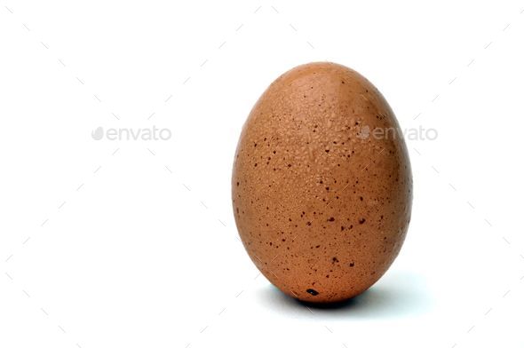 Closeup of a single dotted chicken egg ,on the isolated white ...